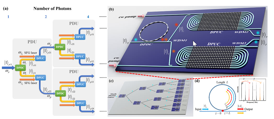 Toward practical quantum optics: Multiphoton qubits from LNOI Toward practical quantum optics: Multiphoton qubits from LNOI