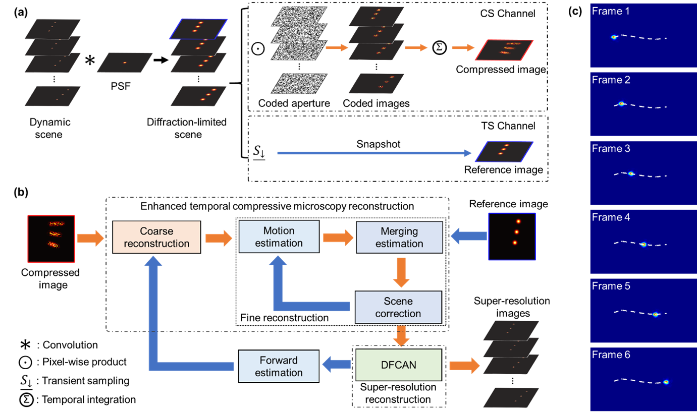 High-speed super-resolution microscopy via temporal compression High-speed super-resolution microscopy via temporal compression