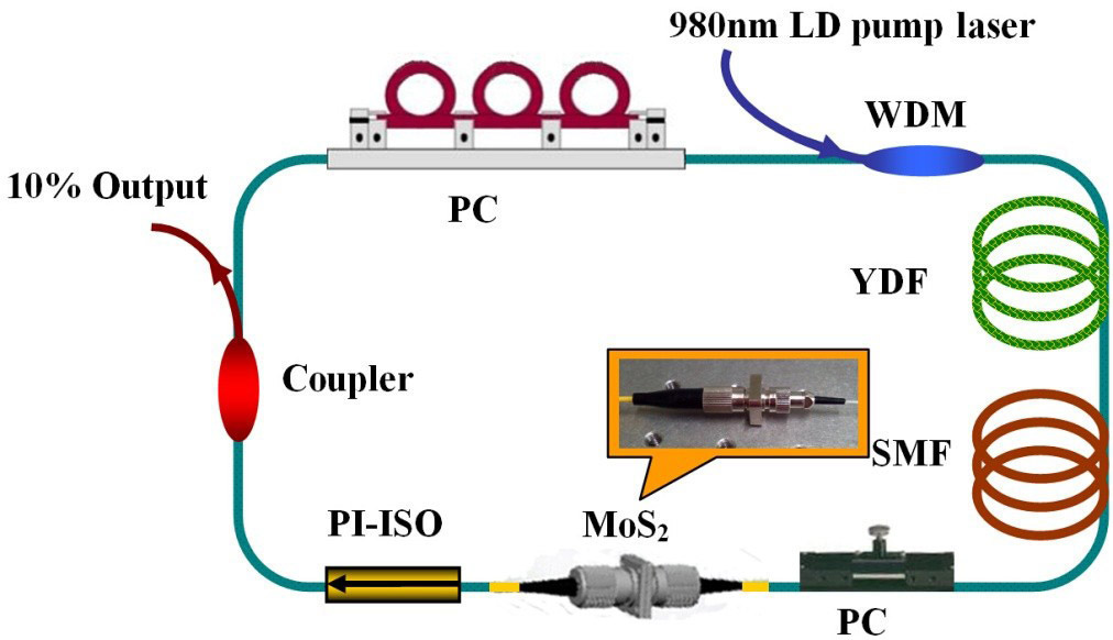 A new photonic material: 2D molybdenum disulfide